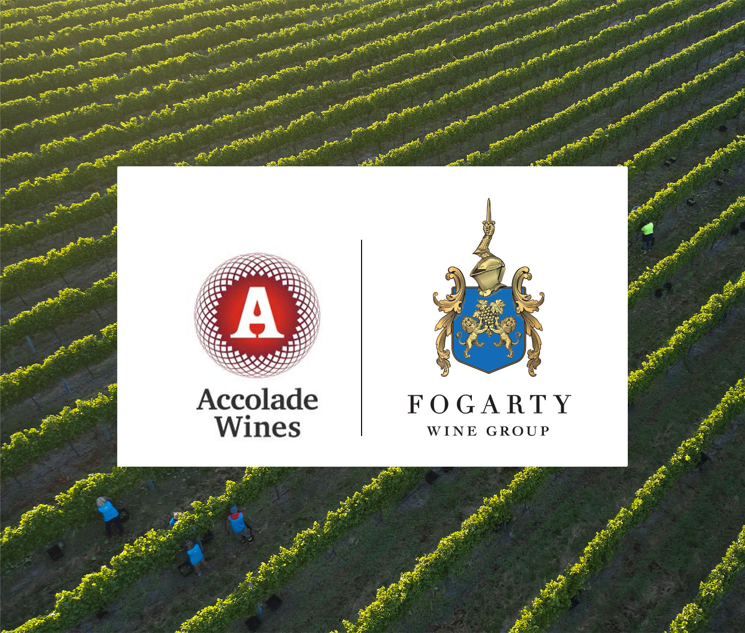Accolade Wines sells Nannup Winery to Fogarty Wine Group, Enters Winem ...