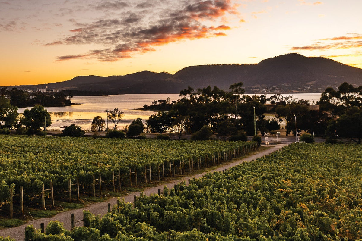 Fogarty Hall | A family of fine wine – Fogarty Hall Fine Wine Estates