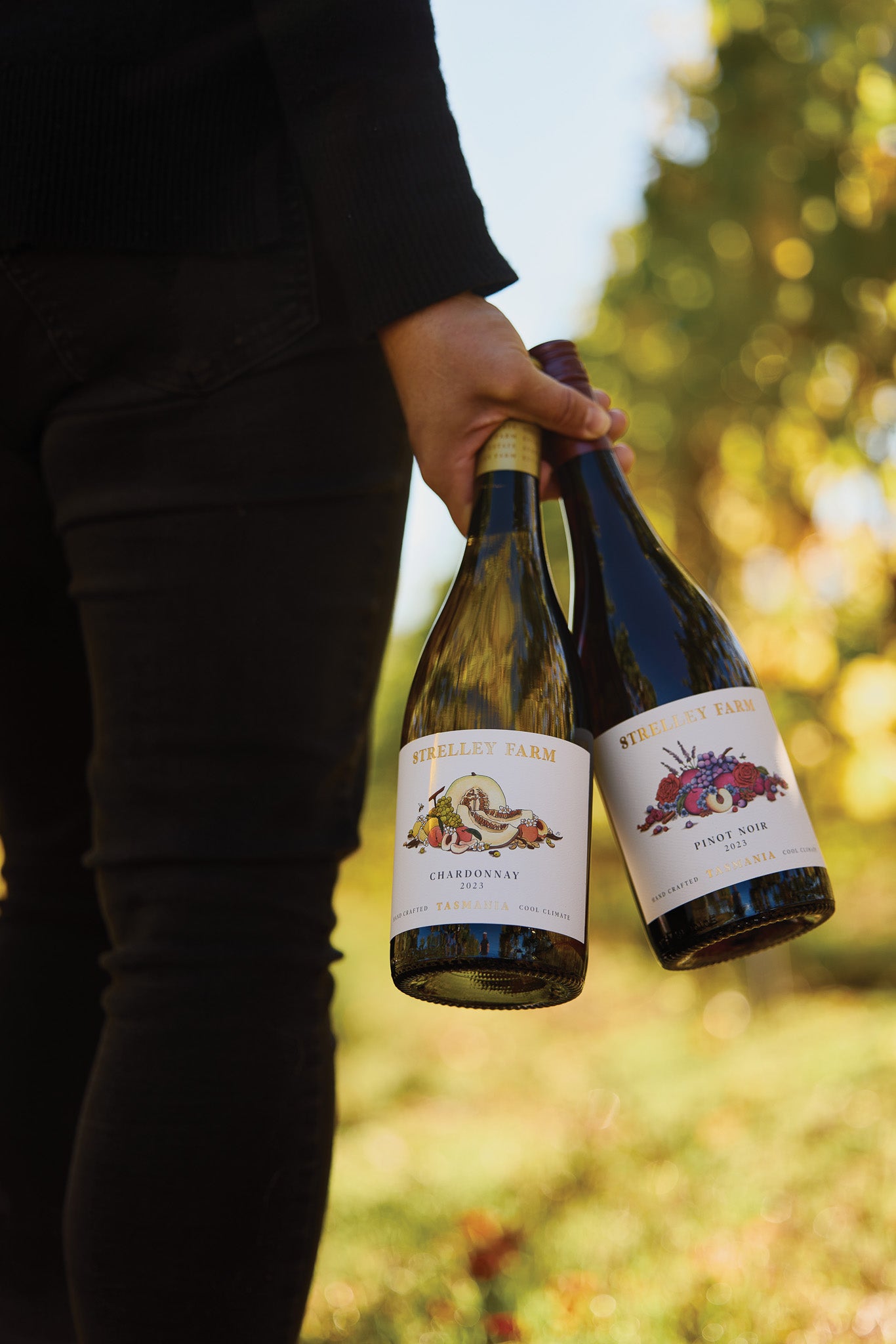 Shop all wine – Page 10 – Fogarty Hall Wine